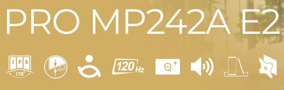 MSI PRO MP242A E2 24-inch IPS 1920 x 1080 (FHD) Gaming Office Monitor, 120Hz, Adaptive-Synch ...